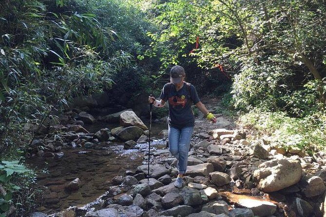 Plog and Hike Mount Mogan Nature Reserve  Guided Outdoor Tour from Hangzhou - Who Should Consider This Tour?