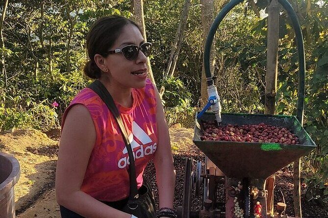 Pluma Hidalgo Coffee Experience - Frequently Asked Questions