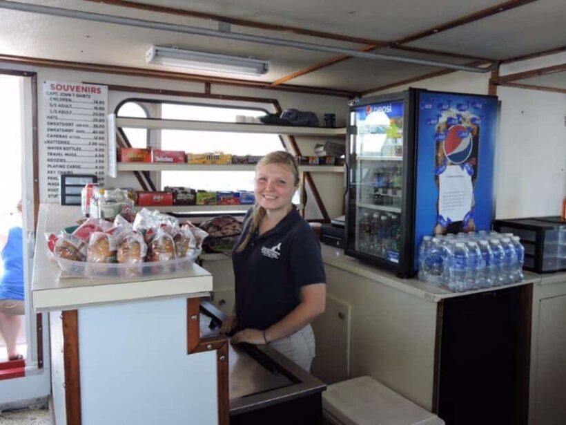 Plymouth: Whale Watching Cruise - Who Will Love This Tour?