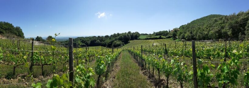 Podere Della Bruciata: Montepulciano Primal Cru Experience - Who Will Love This Tour?