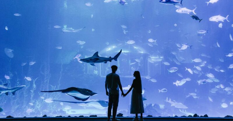 Poema del Mar Skip-the-Line Ticket - Key Points