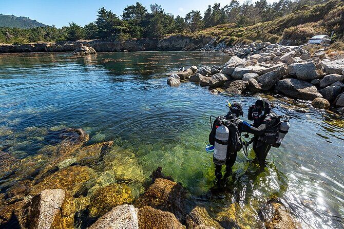 Point Lobos - A Private Charming Ocean Tour - What Is the Tour All About?