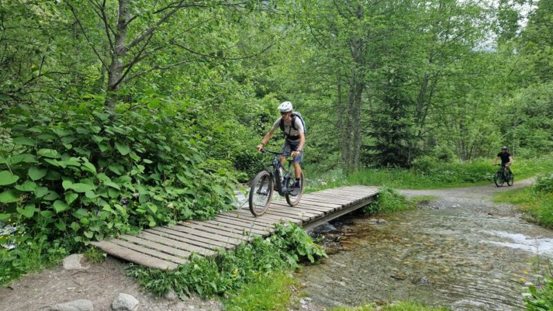 Point of View on the Glaciers of Chamonix by Ebike - Navigating the Mountain Terrain