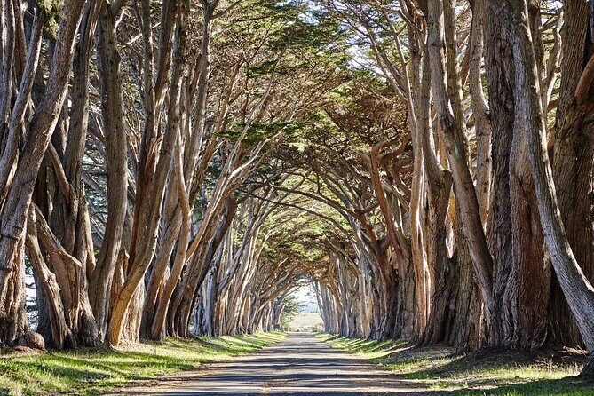 Point Reyes National Seashore Self Guided Driving Audio Tour - What This Tour Offers and Why It Matters