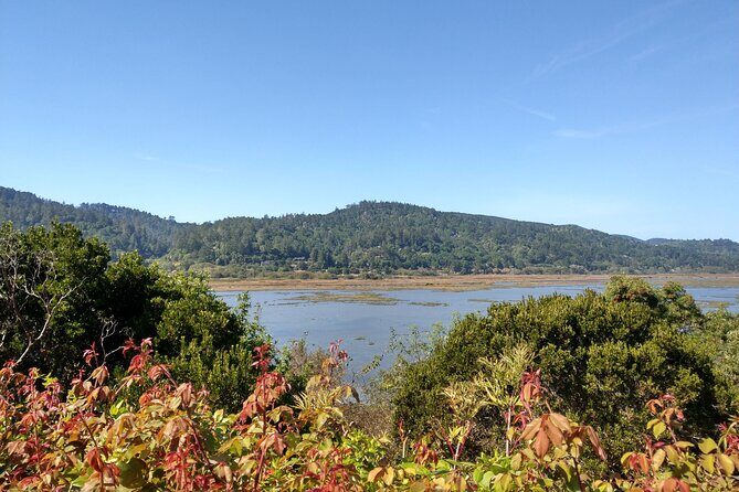 Point Reyes National Seashore Self Guided Driving Audio Tour - Who Should Consider This Tour?