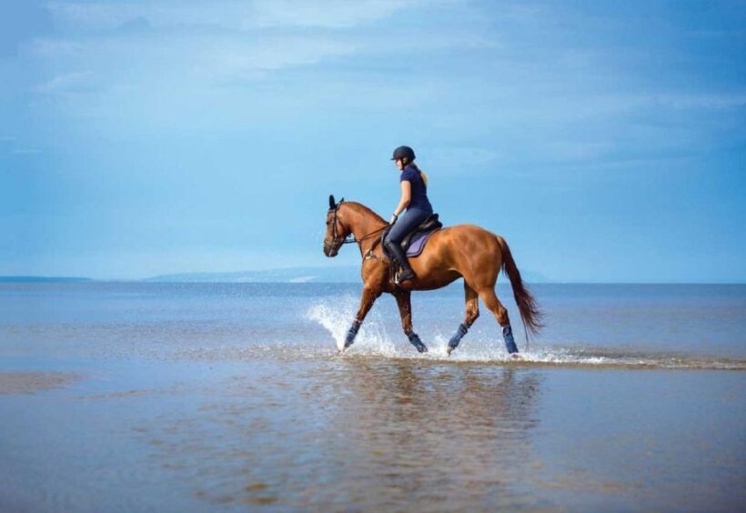 Pokhara: 1-Hour Horseback Ride with Hotel Pickup - The Sum Up