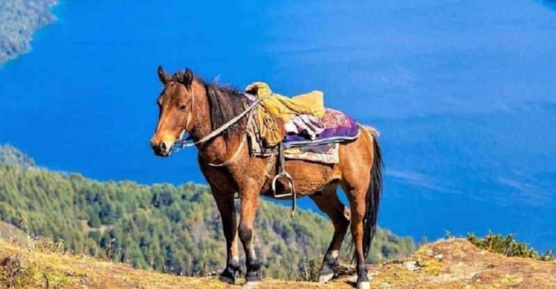 Pokhara: 1-Hour Horseback Ride with Hotel Pickup - What to Expect at Each Stop