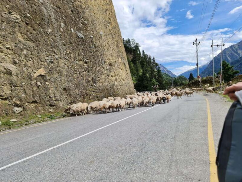 Pokhara: 14 Days Upper Mustang Trek - Key Points