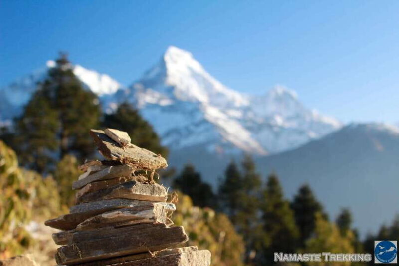 Pokhara: 14 Days Upper Mustang Trek - Descending through Red Cliffs and Returning to Jomsom
