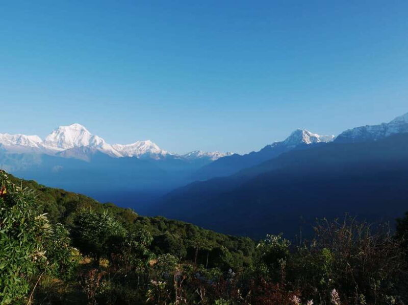 Pokhara: 2-Day Short & Sweet Ghorepani Poon Hill Guided Trek - Final Thoughts