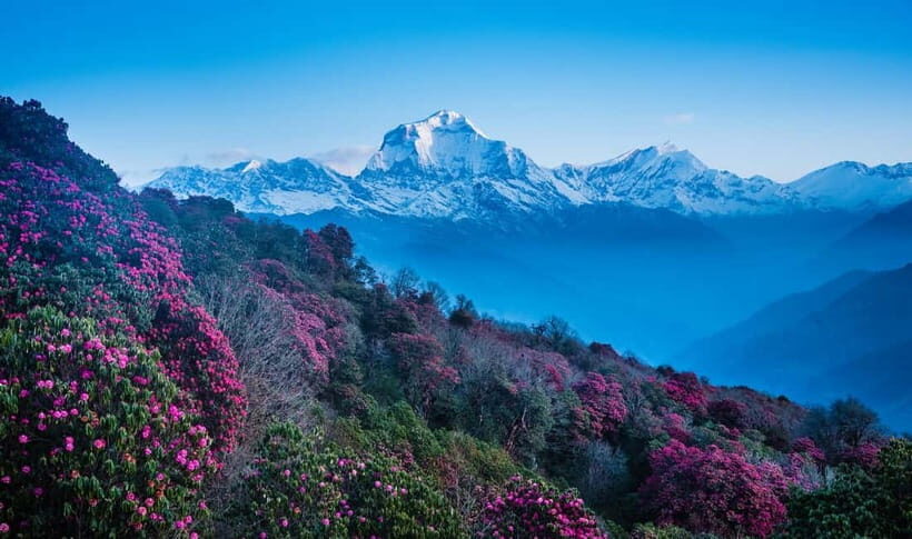 Pokhara: 2-Days Beautiful Poon Hill Trek with Sunrise View - The Value and What’s Included