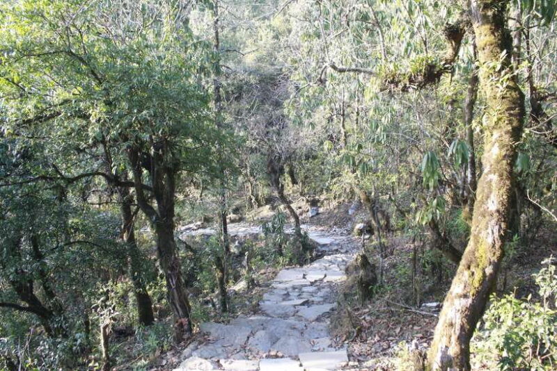 Pokhara: 3-Day Astam, Dhampus, and Australian Camp Trek - The Sum Up