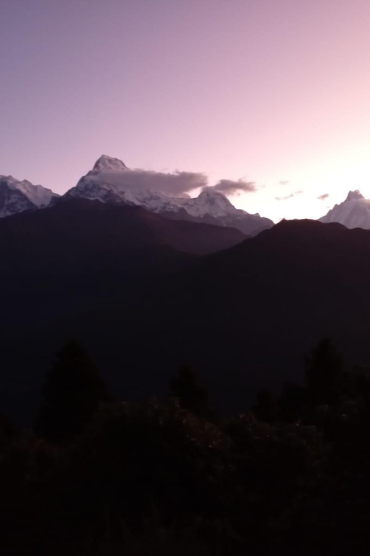 Pokhara: 3-Day Easy pulse Poon Hill Trek. - Why Consider the Poon Hill Trek?