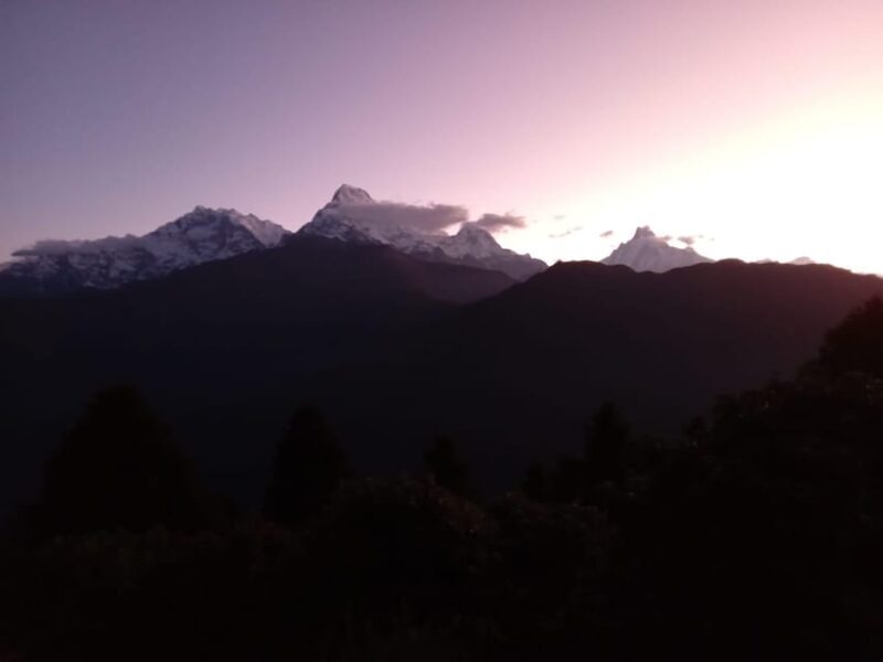 Pokhara: 3-Day Easy pulse Poon Hill Trek. - Best Time to Trek