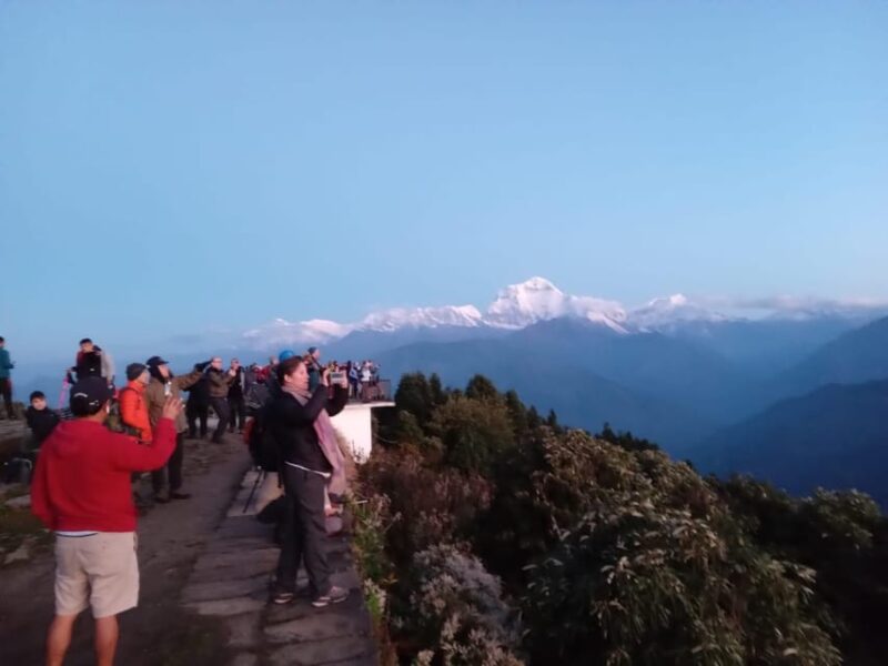 Pokhara: 3-Day Easy pulse Poon Hill Trek. - Authentic Experiences and Traveler Feedback