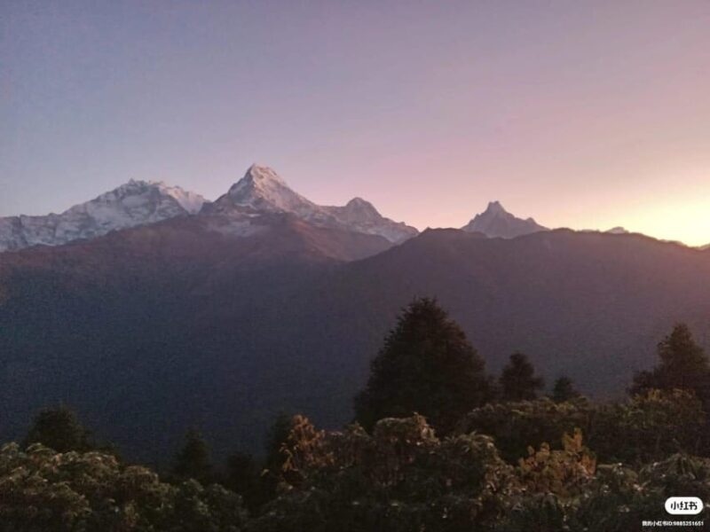 Pokhara: 3-Day Easy pulse Poon Hill Trek. - The Value of This Trek