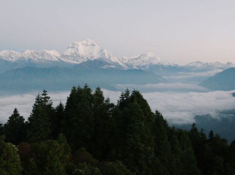 Pokhara: 3-Day Ghorepani and Poon Hill Trek - Authentic Experiences and Traveler Feedback