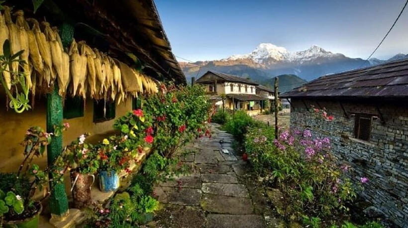 Pokhara: 3-Day Ghorepani, Poon Hill & Ghandruk Trek - Why Choose This Trek?