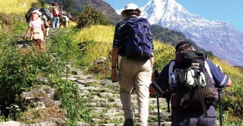 Pokhara: 3-Day Ghorephani and Poon Hill Private Trek - Who Should Consider This Trek?