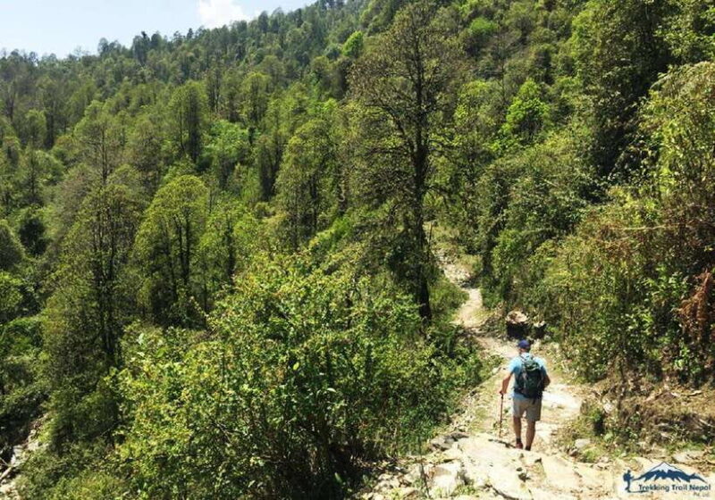 Pokhara: 3-Day Hike Tour To Annapurna Himalayas Foothill - The Value of a Short Himalayan Trek