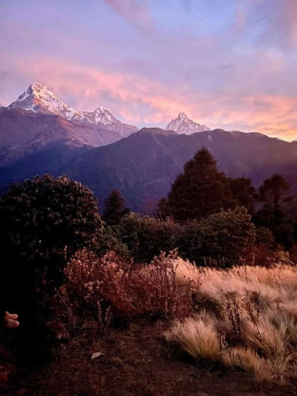 Pokhara: 3-Day Poon Hill Trek with Sunrise View - Key Points