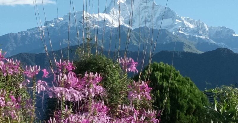 Pokhara: 3-Day Trek - The Experience You’ll Appreciate