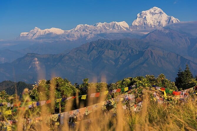 Pokhara 3 Days Ghorepani and Poon Hill Private Trek via Ghandruk - What Could Be Better?