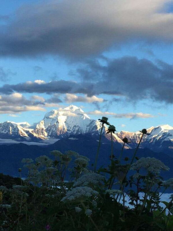 Pokhara: 3 days Trek to Poon hill - Day 1: From Nayapul to Ulleri (5-6 hours)