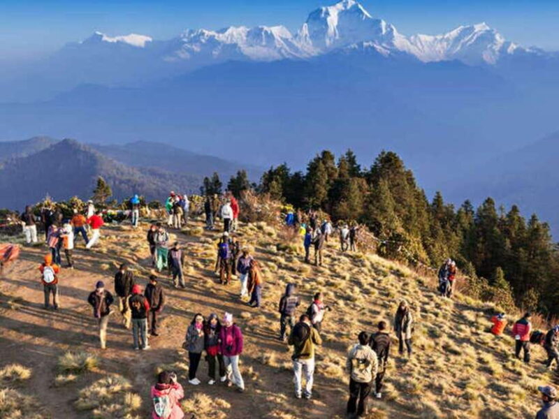 Pokhara: 3 days Trek to Poon hill - Accommodation and Meals