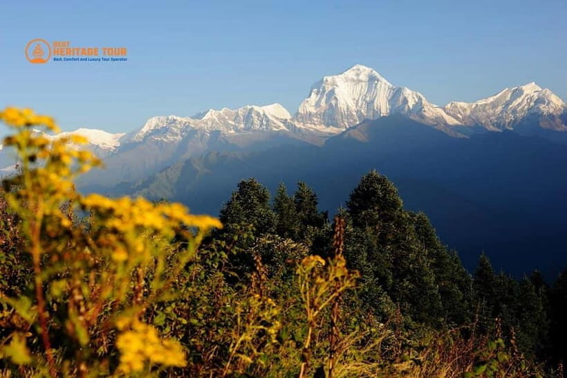 Pokhara: 4-Day Ghorepani Poonhill Short Trek - Who Should Consider This Trek?
