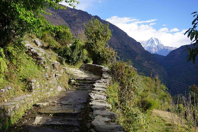 Pokhara: 4 Day Poon Hill Trek - What Makes This Trek Worth the Cost