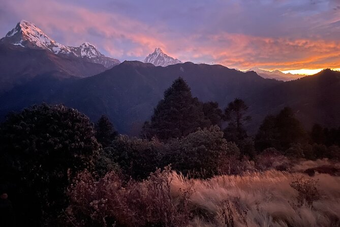 Pokhara: 4 Days Poon Hill and Ghandruk Trek - Who would enjoy this trek?