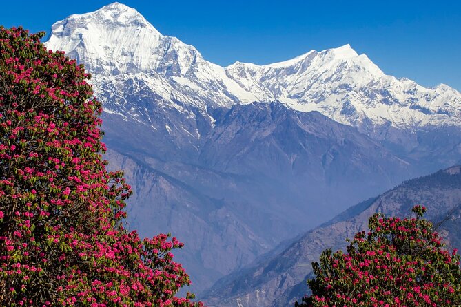 Pokhara: 4 Days Poon Hill and Ghandruk Trek - FAQ