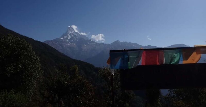 Pokhara: 5-Day Mardi Himal Base Camp Trek with Transfers - Day 2: Forest Camp to High Camp (4,000m)