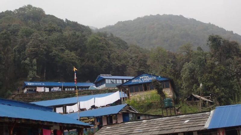 Pokhara: 5-Day Mardi Himal Base Camp Trek with Transfers - Day 4: From Low Camp to Siding Village