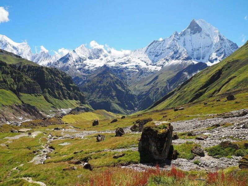 Pokhara: 5 days Annapurna Base Camp Trek Guided adventure - The Experience You Can Expect
