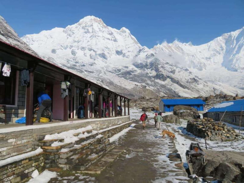 Pokhara: 5-Days Annapurna Base Camp Trek Guided Adventure - What Makes This Trek Stand Out?