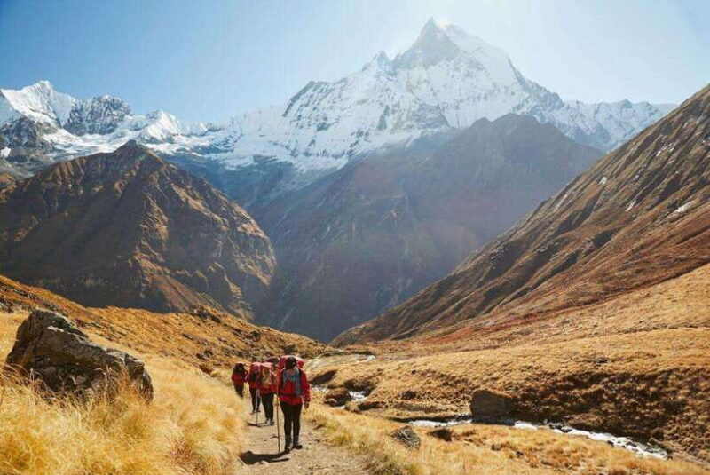 Pokhara: 5-Days Annapurna Base Camp Trek Guided Adventure - The Sum Up