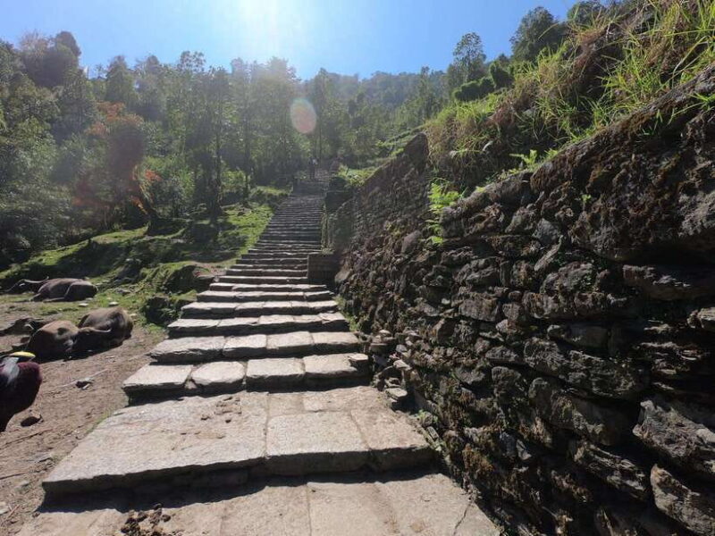 Pokhara: 7-Day Annapurna Base Camp & Jhinu Hot Springs Trek - What’s Included and Whats Not