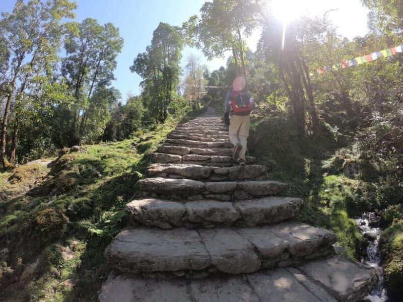 Pokhara: 7-Day Annapurna Base Camp & Jhinu Hot Springs Trek - Practical Tips for the Trek