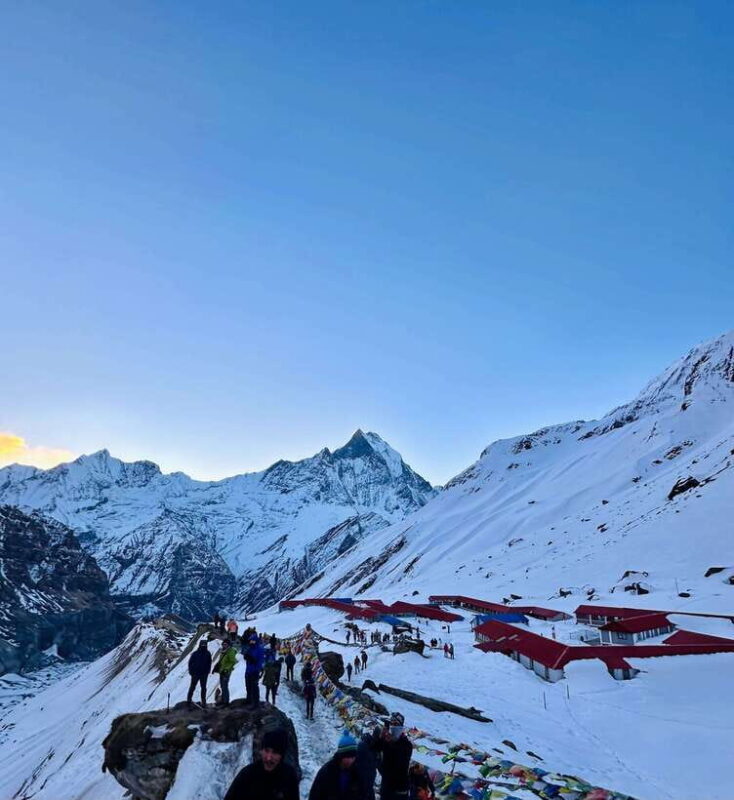 Pokhara: Annapurna Base Camp Trek & Wildlife Safari Tour - Who Will Love This Tour?