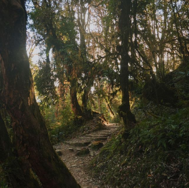 Pokhara: Annapurna Base Camp Trek with Meals and Guide-Nepal - Key Points