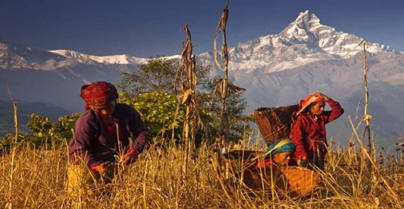 Pokhara: Annapurna Day Hike with Panoramic Views - Final Thoughts