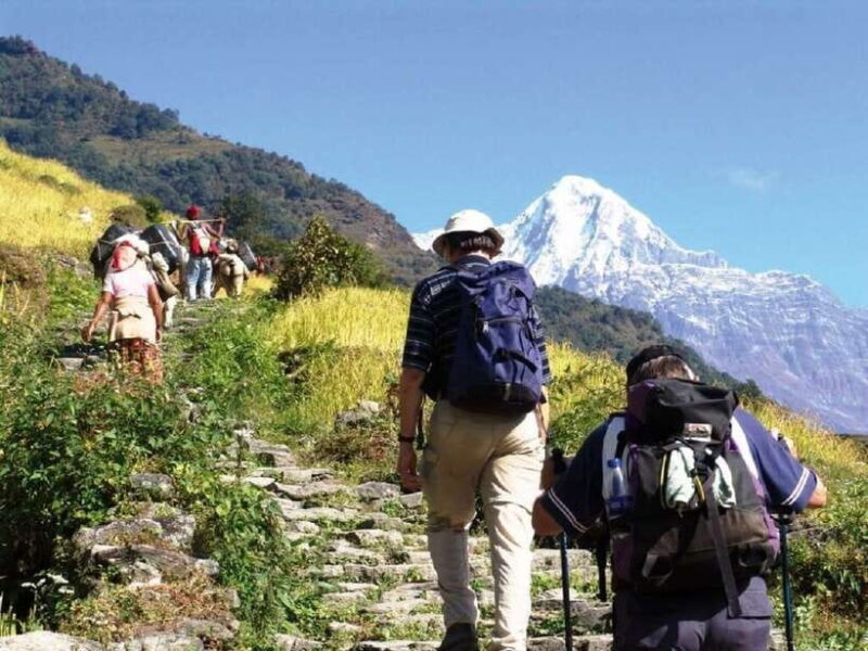 Pokhara: Annapurna Day Hike with Panoramic Views - What to Expect During the Hike