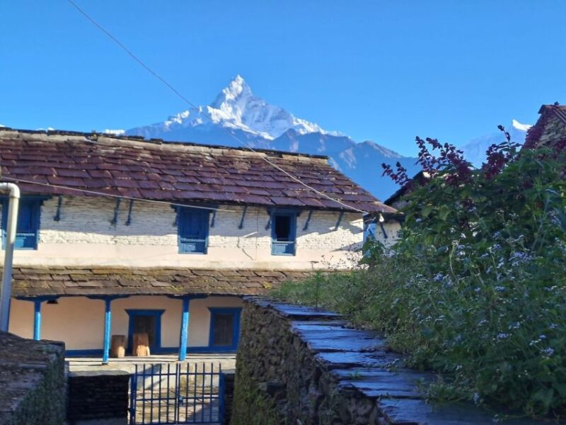 Pokhara: Australian Camp & Dhampus Village Group Join Hike - Why This Tour Is Worth It