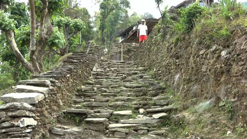 Pokhara: Day Hike at Annapurna Mountain Foothills - Final Thoughts: Who Will Love This Tour?