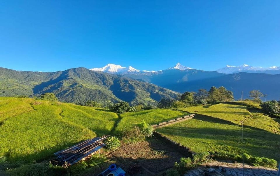 Pokhara : Day Hike to Astham & Dhampus Village - Final Thoughts: Is This Tour Right for You?