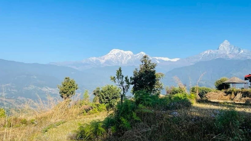 Pokhara : Day Hike To Australian Base Camp with Lunch - The Value Proposition