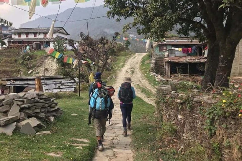 Pokhara : Day Hike To Australian Base Camp with Lunch - Who Should Consider This Tour?