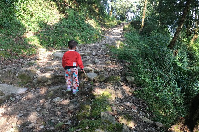 Pokhara: Day Hiking form Dhampus to Australian Camp - What Makes This Tour Stand Out?